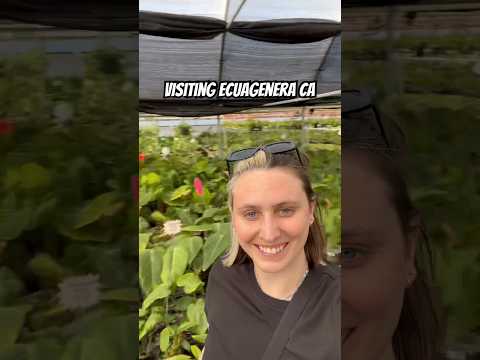 Ecuagenera CA had some amazing plants!