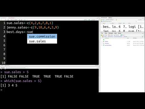 Logical Vectors in R VIDEO | educational research techniques