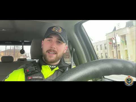 License Plate and License Renewal Feb 2024