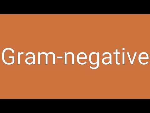 Gram-Negative Definition & Meaning