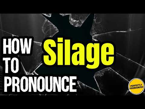 How To Pronounce Silage? (CORRECTLY) Meaning & Pronunciation