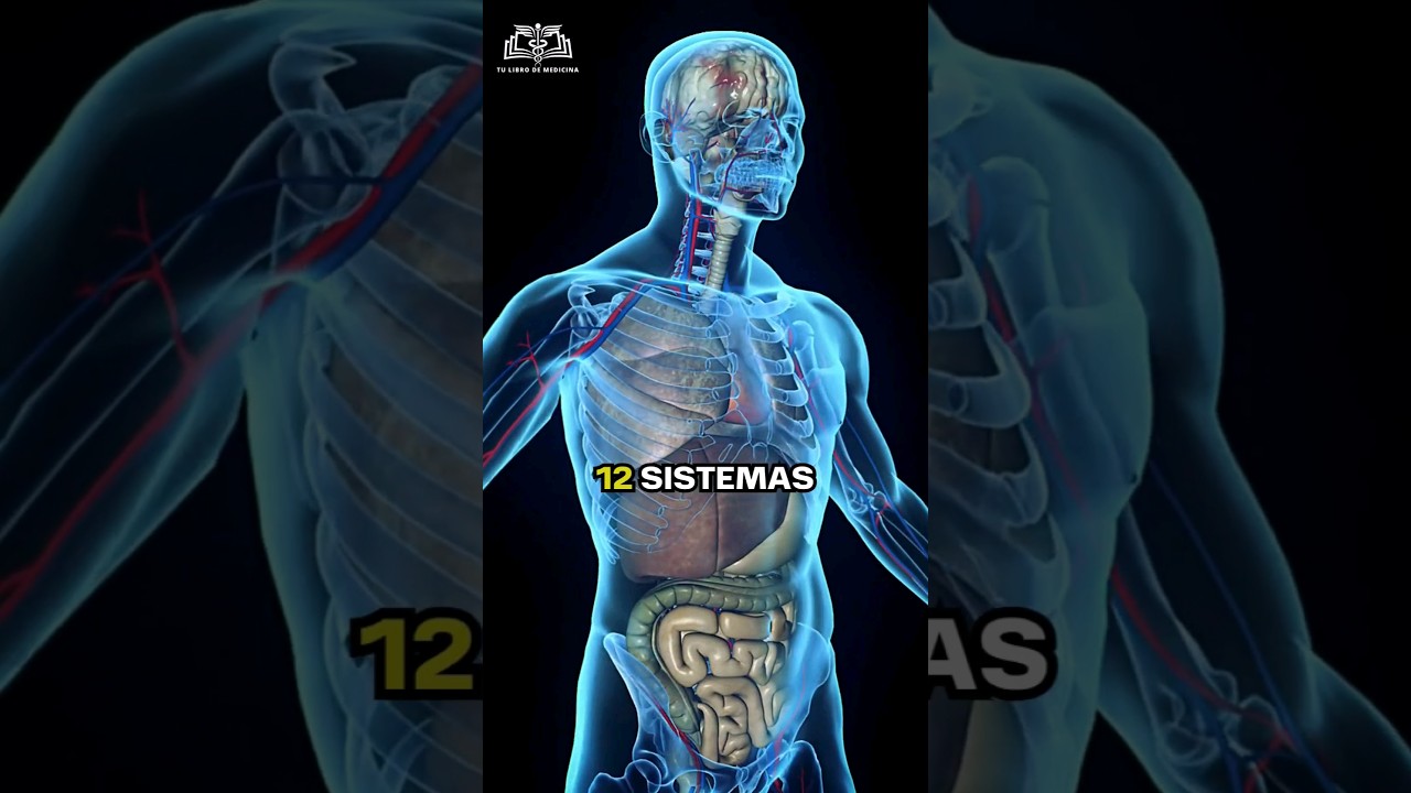 Los 12 Sistemas del Cuerpo Humano 🔥 #medicina #anatomia