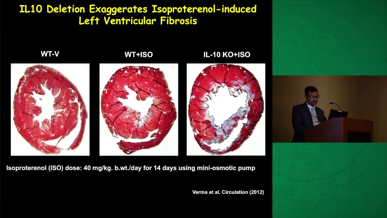 Bone Marrow Cells in Cardiac Remodeling