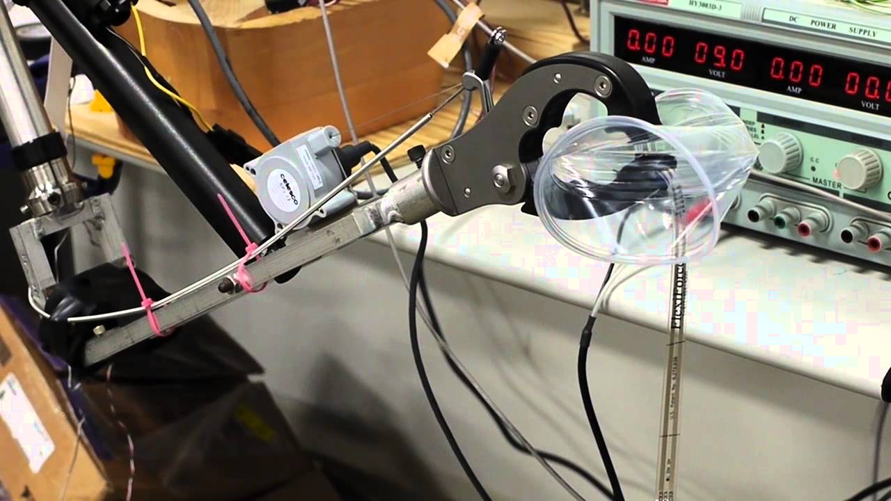 Upper Limb Prosthetic Simulator
