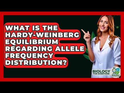 What Is The Hardy-Weinberg Equilibrium Regarding Allele Frequency Distribution?