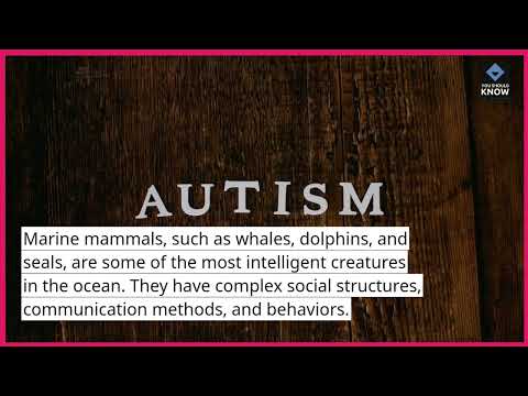 Top 10 Fascinating Facts About Marine Life
