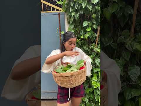 Mere Sath har baar glat hota hai ???????????????? #minivlog #comedyvideos