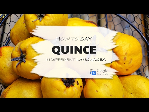 QUINCE - FRUIT NAMES | HOW TO SAY | DIFFERENT LANGUAGES