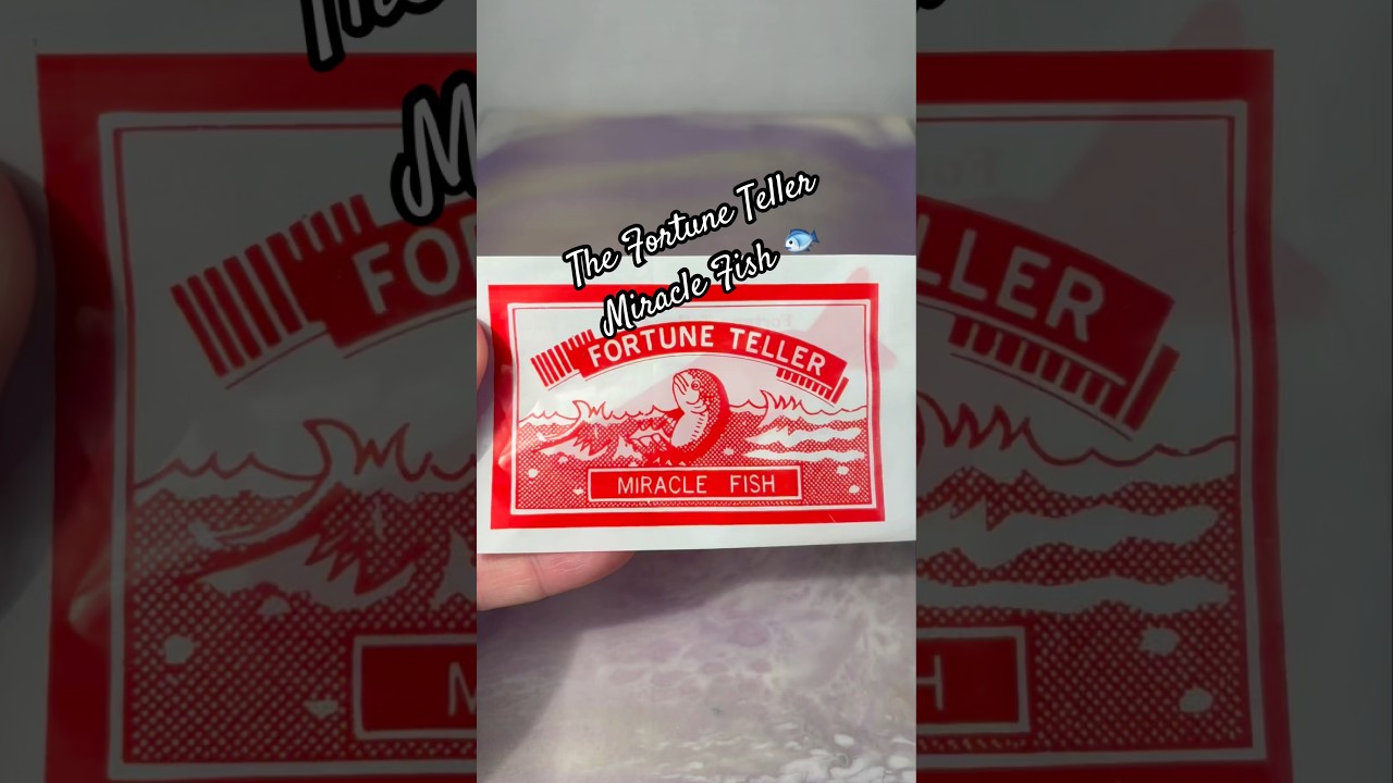 Let’s see what my fortune holds! #fortunetelling #noveltygift #noveltytoys #magic