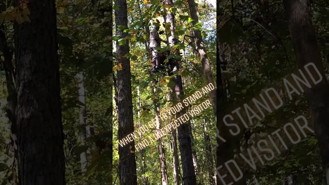 Caught in the act: trespassing gone wrong