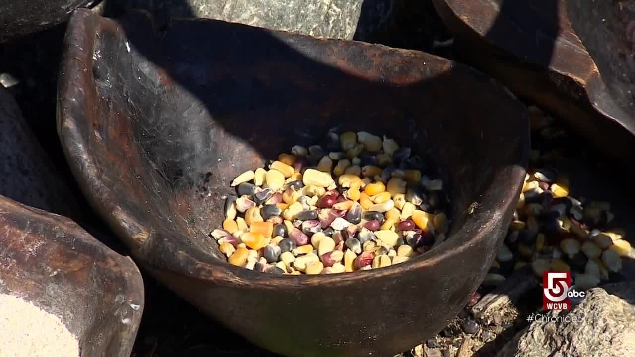 The indigenous history of corn in Massachusetts