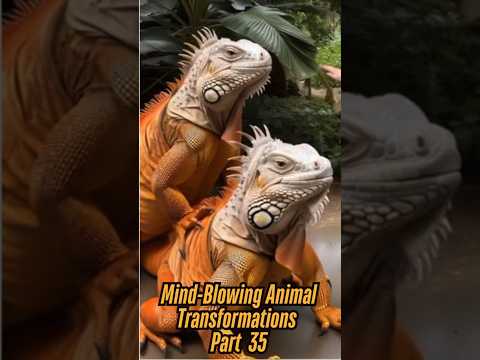 ???? Animal Transformation Part 36 ????