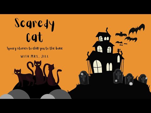 Scaredy Cat #1