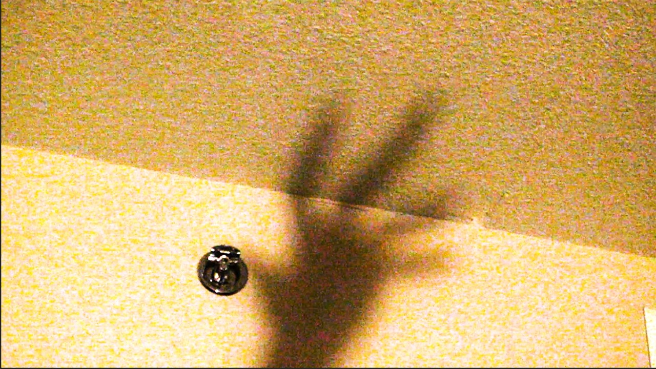 1.mp4