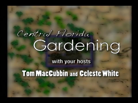 Color in the Landscape Tips from the Hyatt Grand Cypress - UF/IFAS Extension Orange County