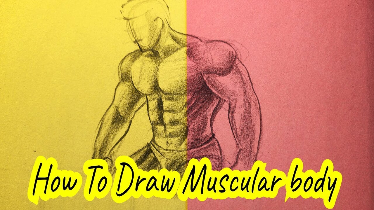 How to Draw a Muscular Upper Body like a Pro | How to draw a Person | Drawing a Human Body Tutorial