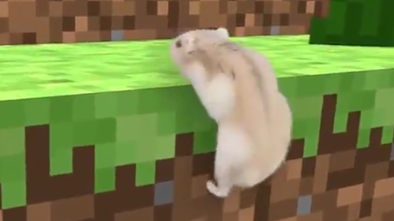 UNUSUAL MEMES COMPILATION V58