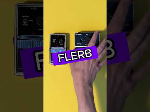 That FLERB! #guitarpedals