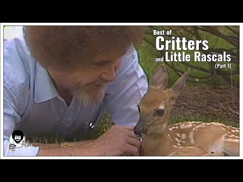 Critters and Little Rascals (Part 1) | The Joy of Painting with Bob Ross