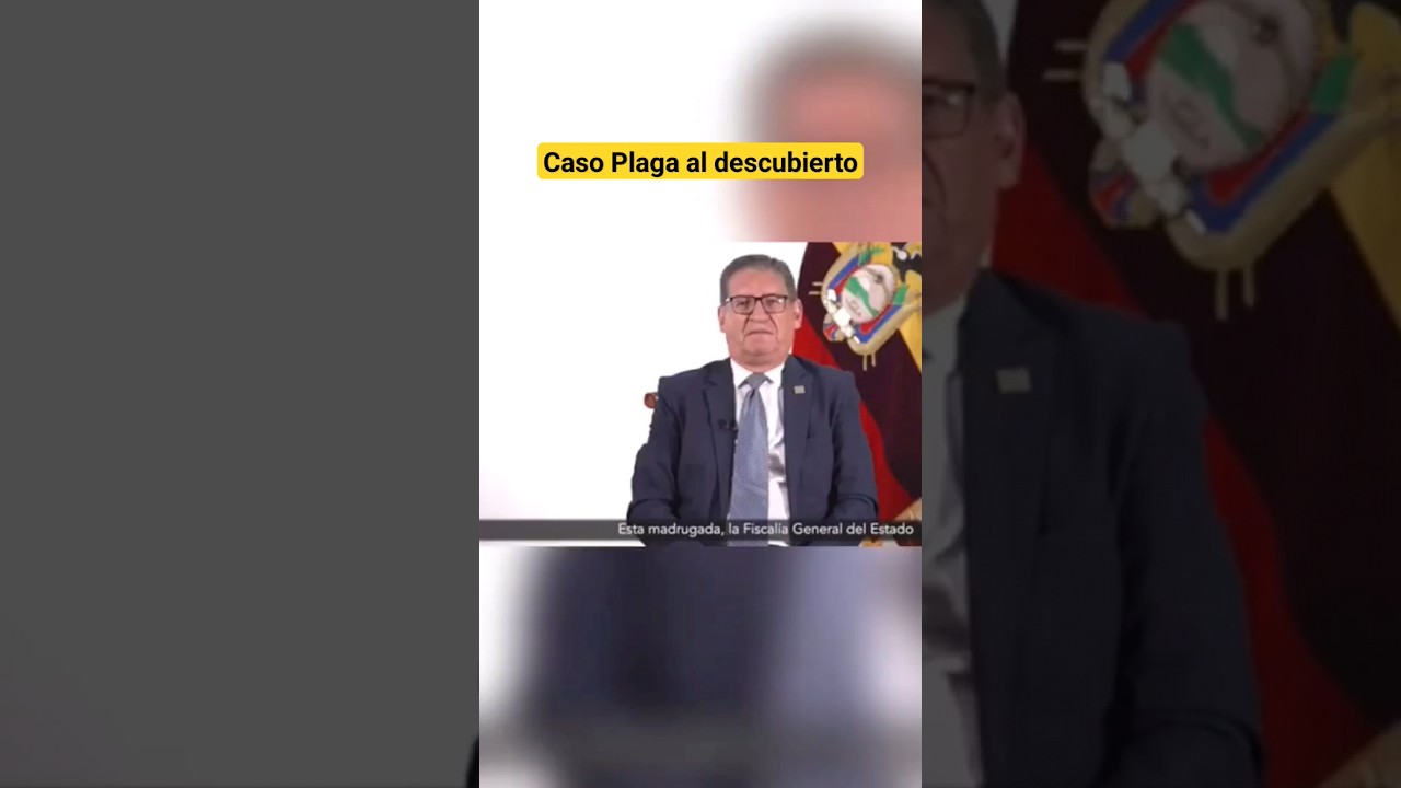 🔴Operativos en 8 provincias: Caso Plaga al descubierto