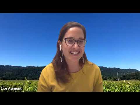 Taste of Sonoma at Home | New Gen, Old Wine
