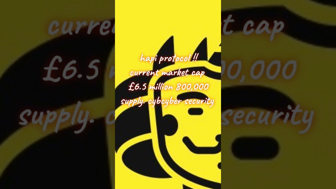 hapi Protocol, cyber security x100?