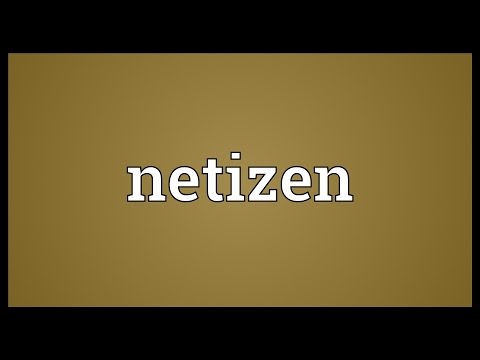 Netizen Meaning