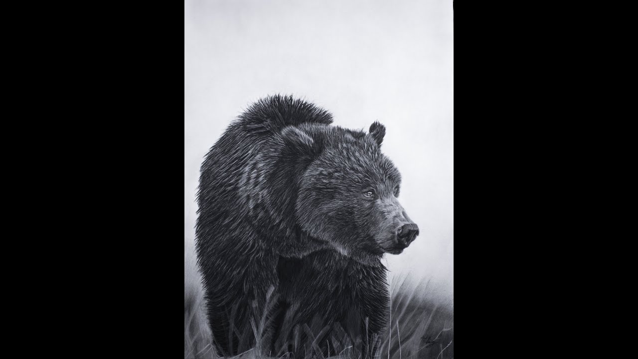 Bear Charcoal Time lapse - 8 Hours