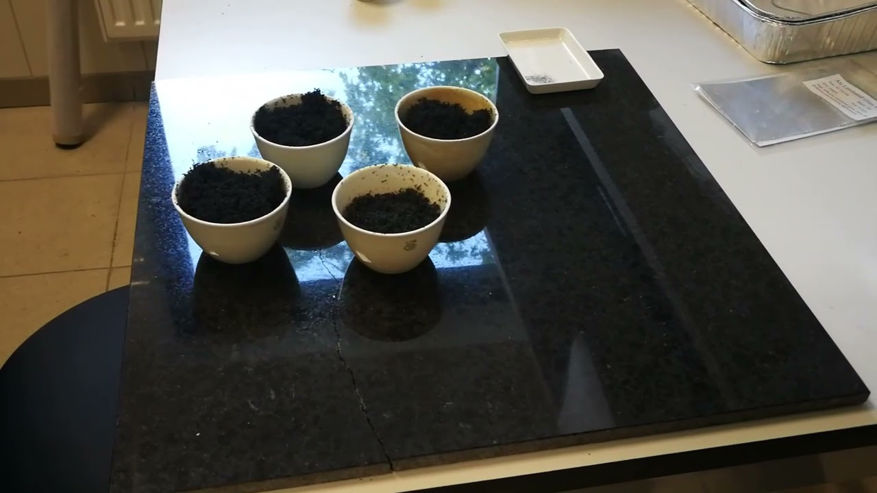 expansion of graphite - experiment