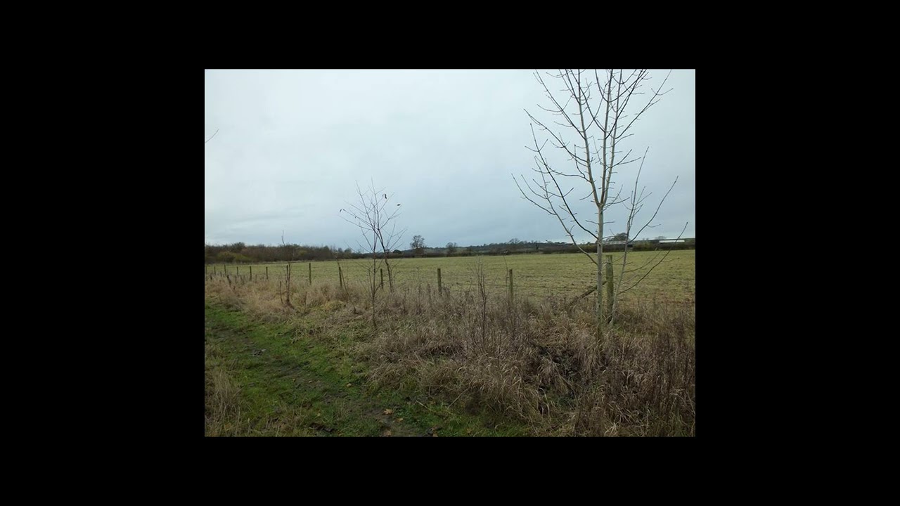 midwest emo/shoegaze playlist