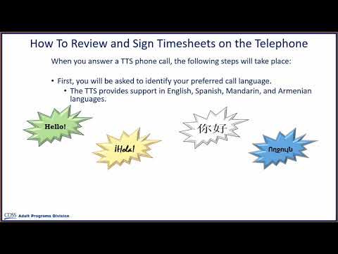 Telephone Timesheet System for Recipients