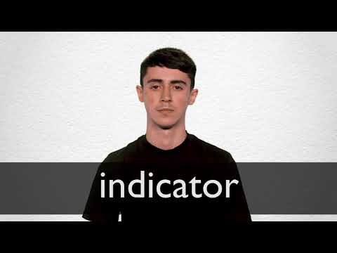 INDICATOR——含义、同义词和翻译| 柯林斯英语词典资源