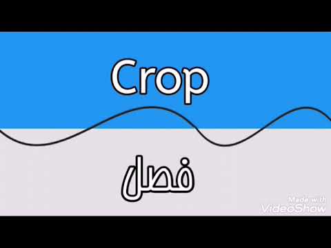 Crop | English Learning | Vocabulary | Words Meaning | Mehran Speaking Tv