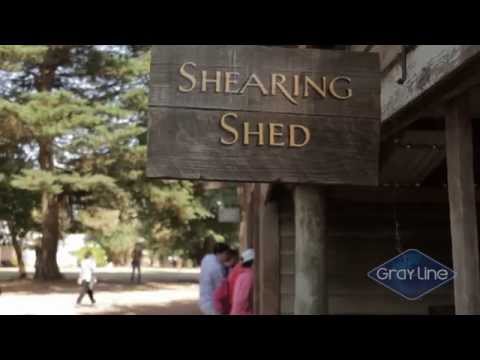 Phillip Island Penguin Tours
