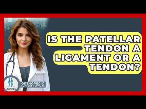 Is The Patellar Tendon A Ligament Or A Tendon? - Orthopedic Support Network