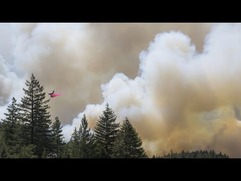 Wildfire smoke may be worse for your brain than other pollution: study