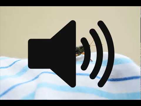 Funny Meme Cricket Insect #Sound#