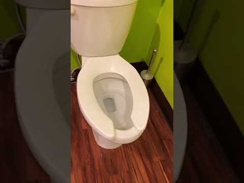 No Flush American Standard Toilet in Bathroom | Modern Zen Restroom Decor #toilets #bathroomdesign