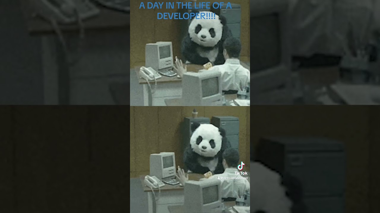 A day in the life of a coder!! #codenewbie #100daysofcode