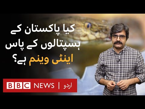 Snake bite: Do Pakistani hospitals have anti venom?- BBC URDU