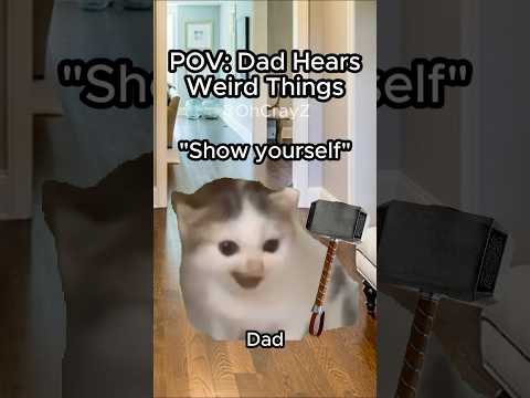 CAT MEMES 🐱 DAD HEARS WEIRD THINGS #relatable #cat #funny #family #shorts