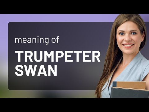 Understanding "Trumpeter Swan": A Guide to English Idioms