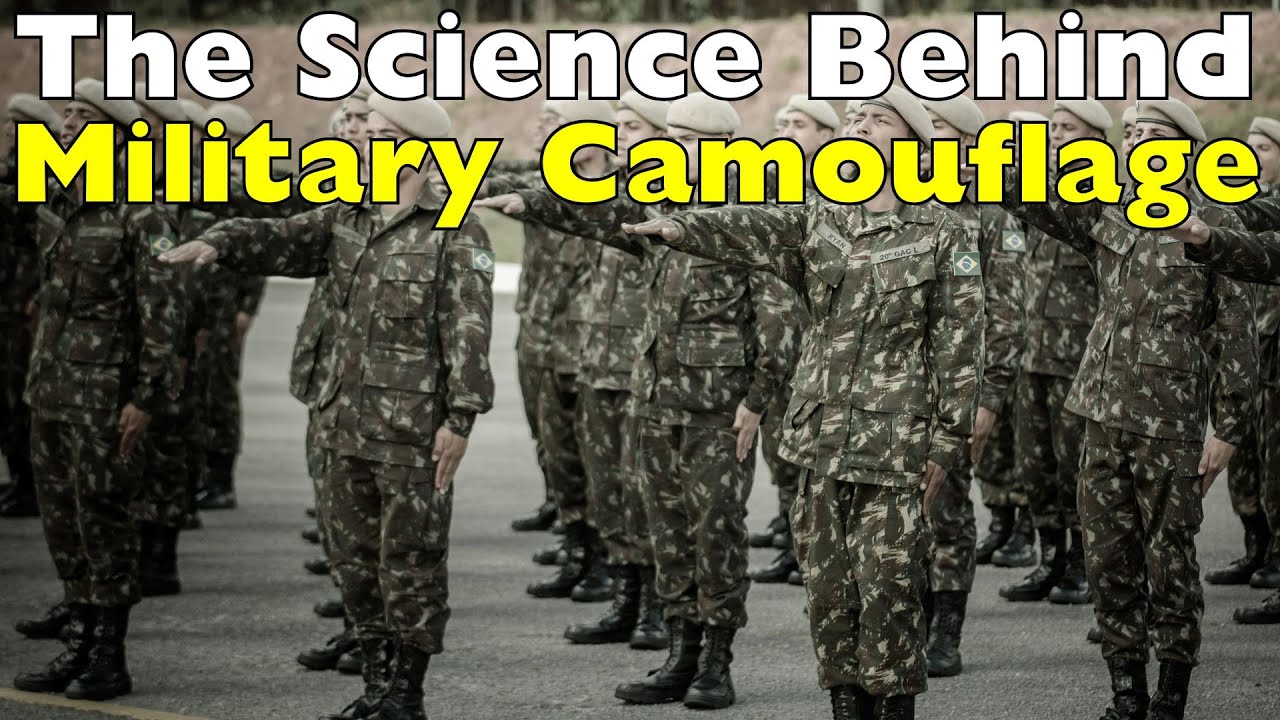 Behind the Pattern: How Camouflage Tricks the Eye | 1.1