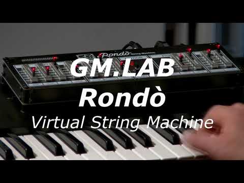 Digital String Machine Synth Kit - 70s Sounds | Reverb