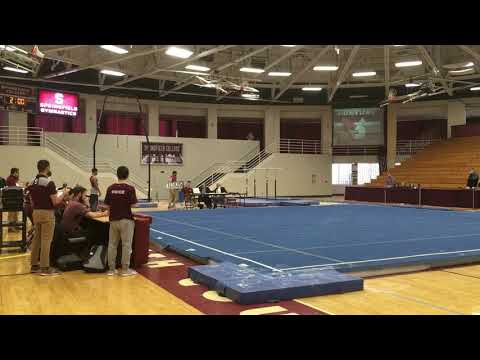 Steve Lewis – Floor – Gymnastics Coaching.com
