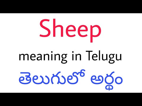 Sheep meaning in Telugu || Sheep తెలుగులో అర్థం || Sheep telugu meaning || Sheep meaning