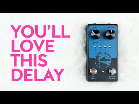Native Audio Two Medicine Delay Pedal, Mint In Box. | Reverb