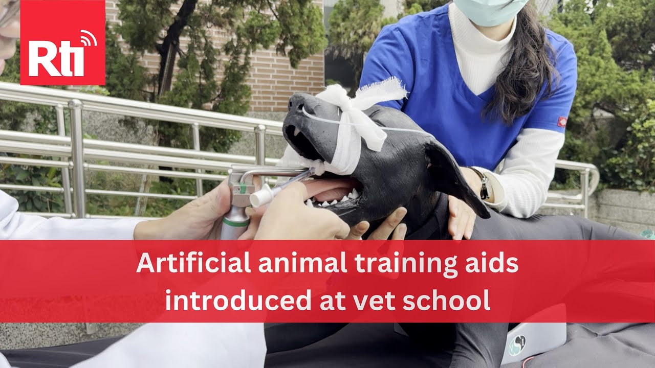 Revolutionizing Veterinary Education: The Introduction of Artificial ...
