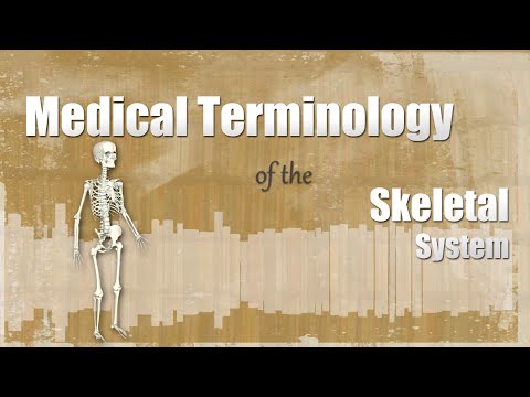 Medical Terminology of the Skeletal System