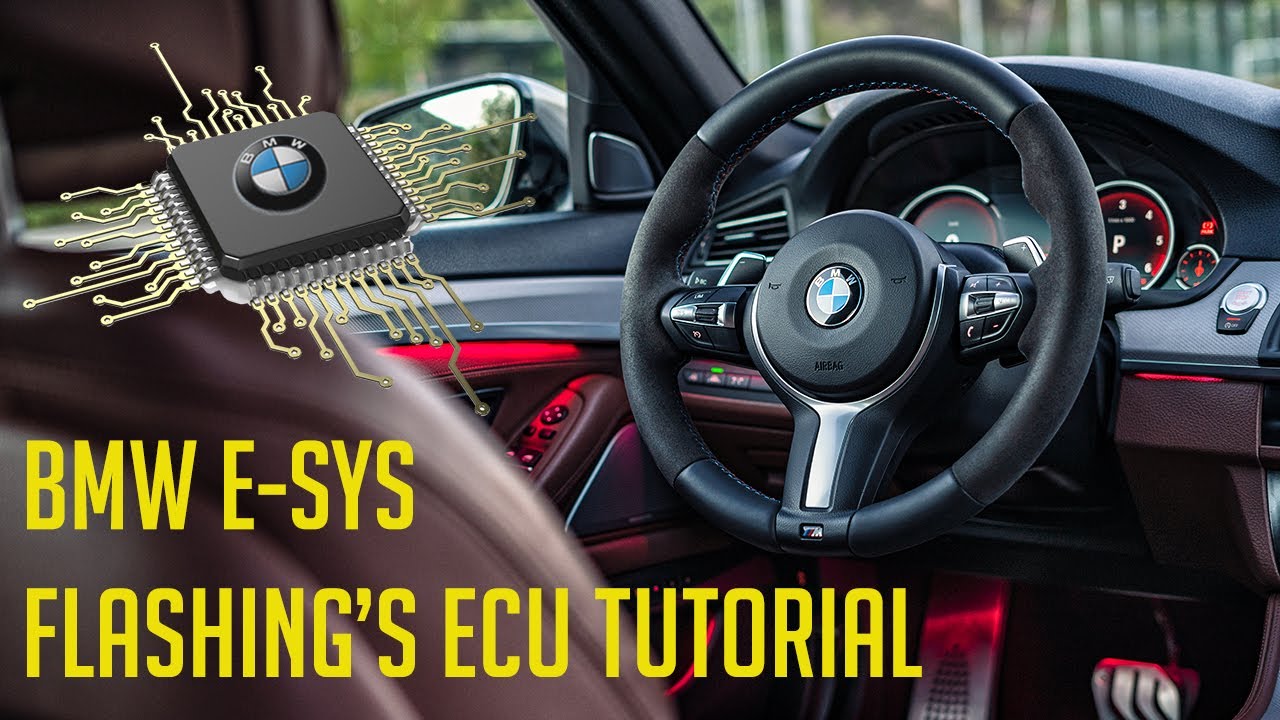 BMW E-SYS ECU's Flashing Guide Tutorial